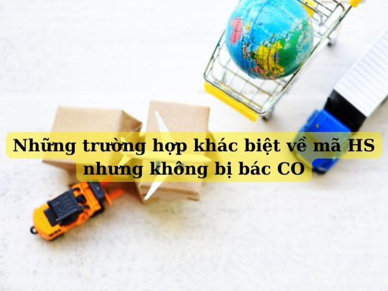 Sự Khác Biệt Về Hs Code Trên Co Và Tờ Khai Hải Quan 2 Giải Pháp Trí Việt